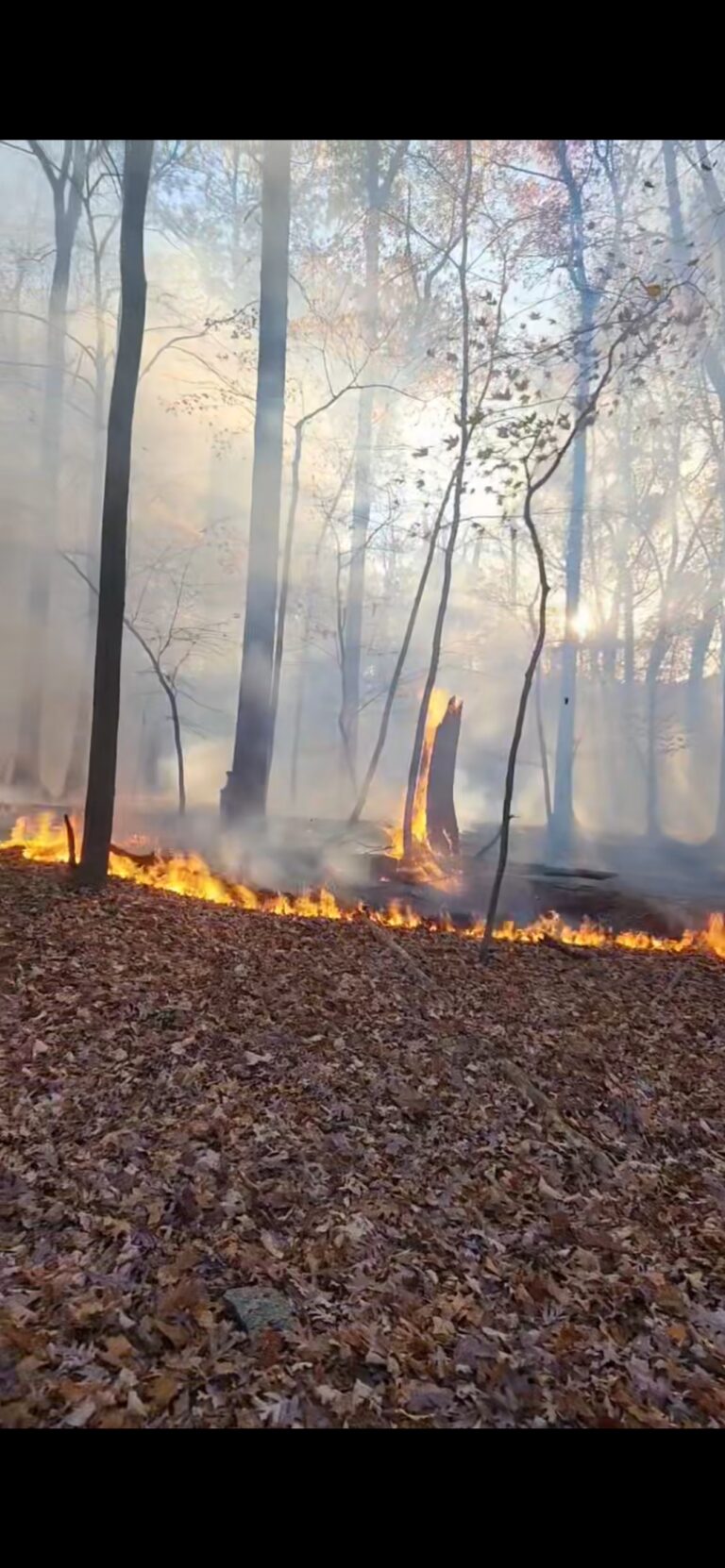 Welcome | Cedar Grove Fire Department